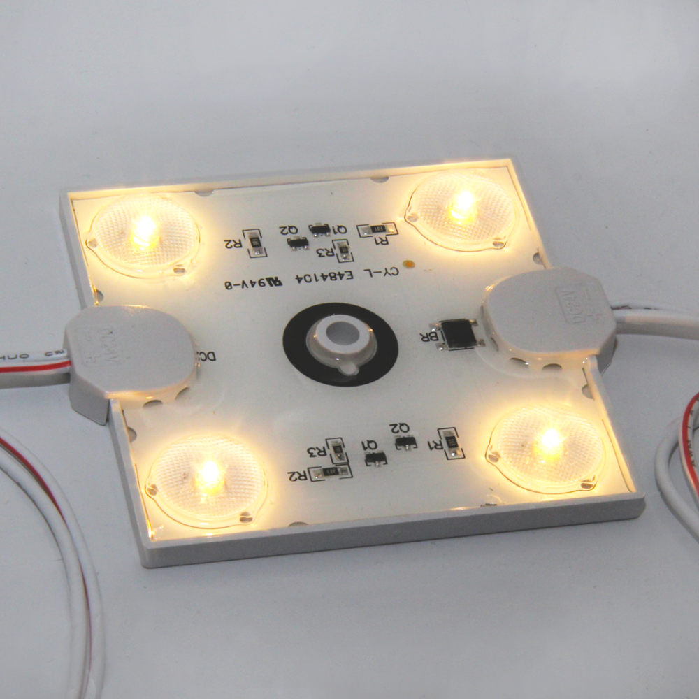 24V LED Outdoor Lighting - Prism: Bounce LED